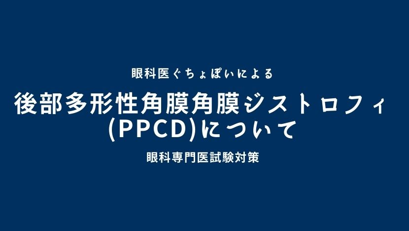 後部多形性角膜角膜ジストロフィ(PPCD)について｜眼科医ぐちょぽいのオンライン勉強会
